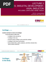 0350 CH 07-Box8 | PDF | Anatomical Terms Of Motion | Shoulder