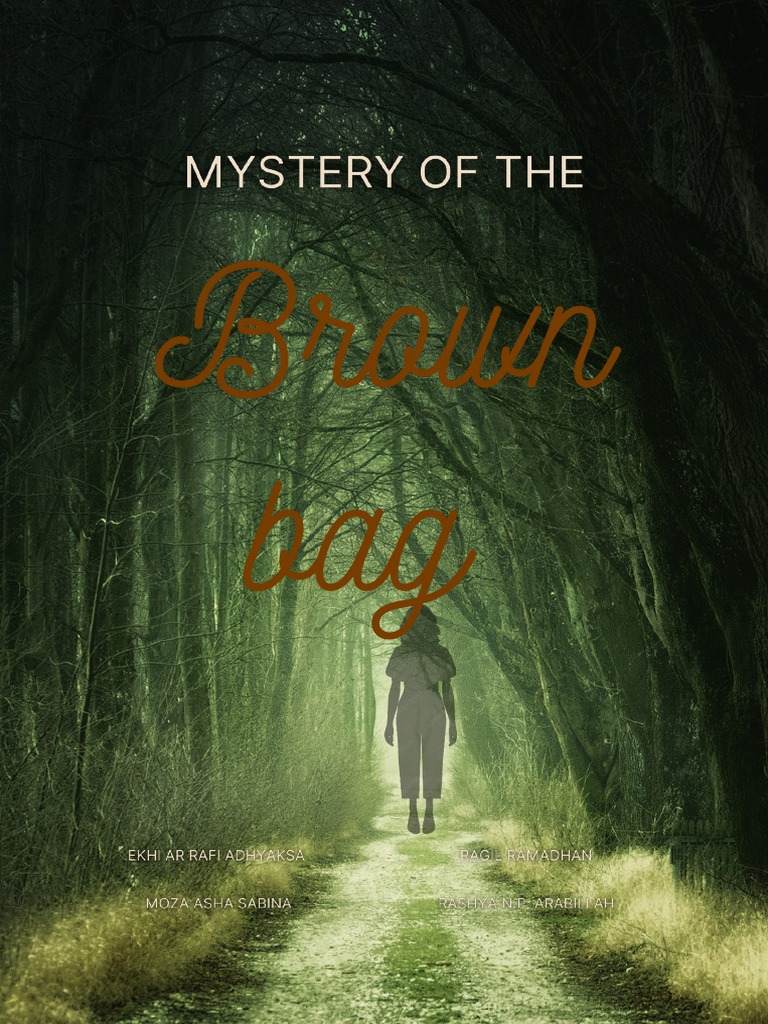 Mystery of The Brown Bag | PDF