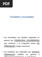 Exudado vs Trasudado: Diagnóstico y Causas | PDF