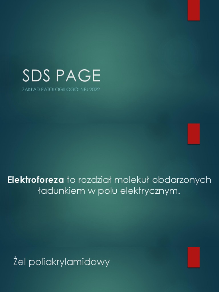 Elektroforeza CW Prezentacja | PDF
