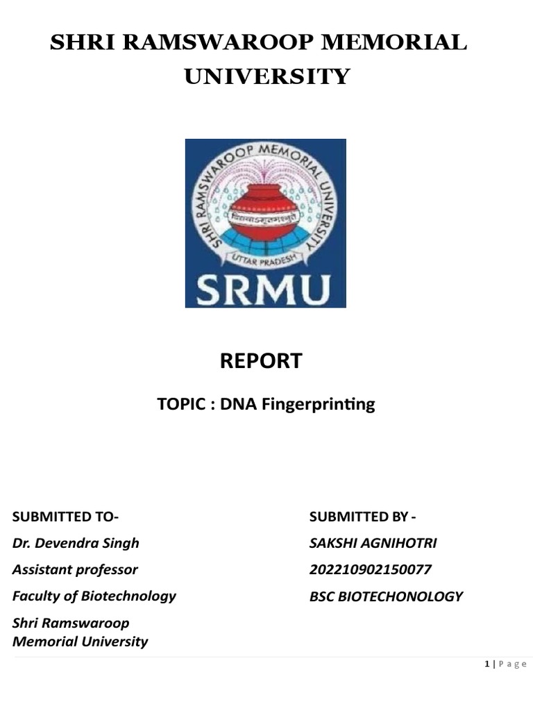 Dna Report | PDF | Gel Electrophoresis | Microsatellite