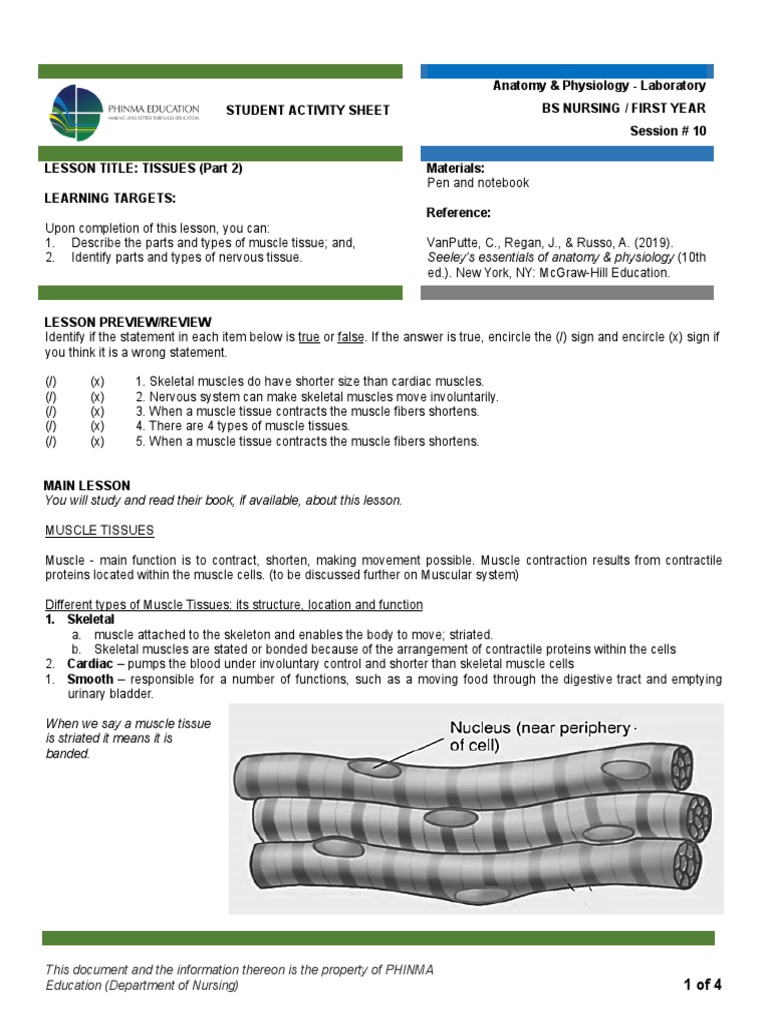 Session #10 SAS - AnaPhy (Lab).docx | PDF | Skeletal Muscle | Tissue ...