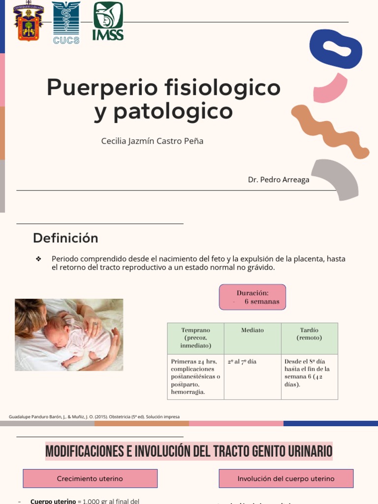 04. Puerperio Fisiológico y Patológico | PDF | Periodo posparto | Parto