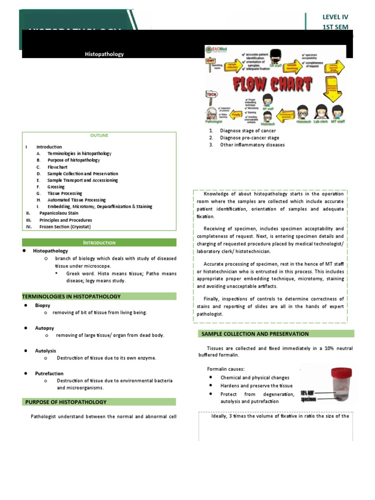 HISTOPATH | PDF | Histopathology | Staining