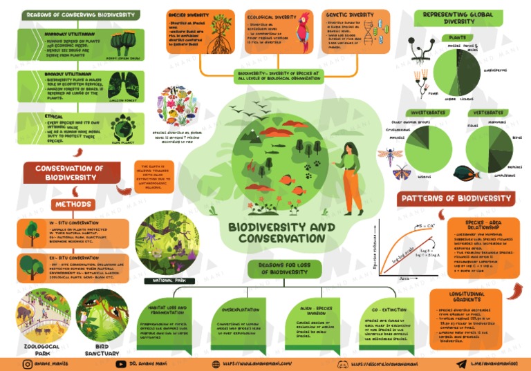 B15 Biodiversity and Conservation | PDF | Biodiversity | Conservation ...