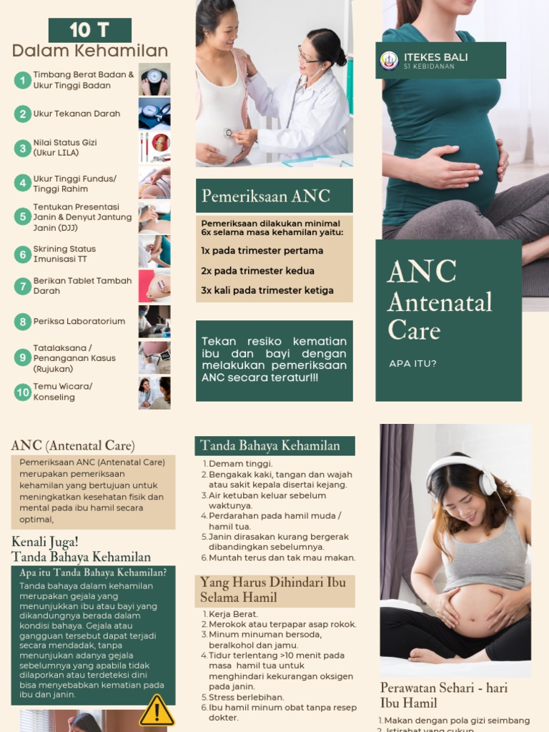 Pamflet ANC | PDF