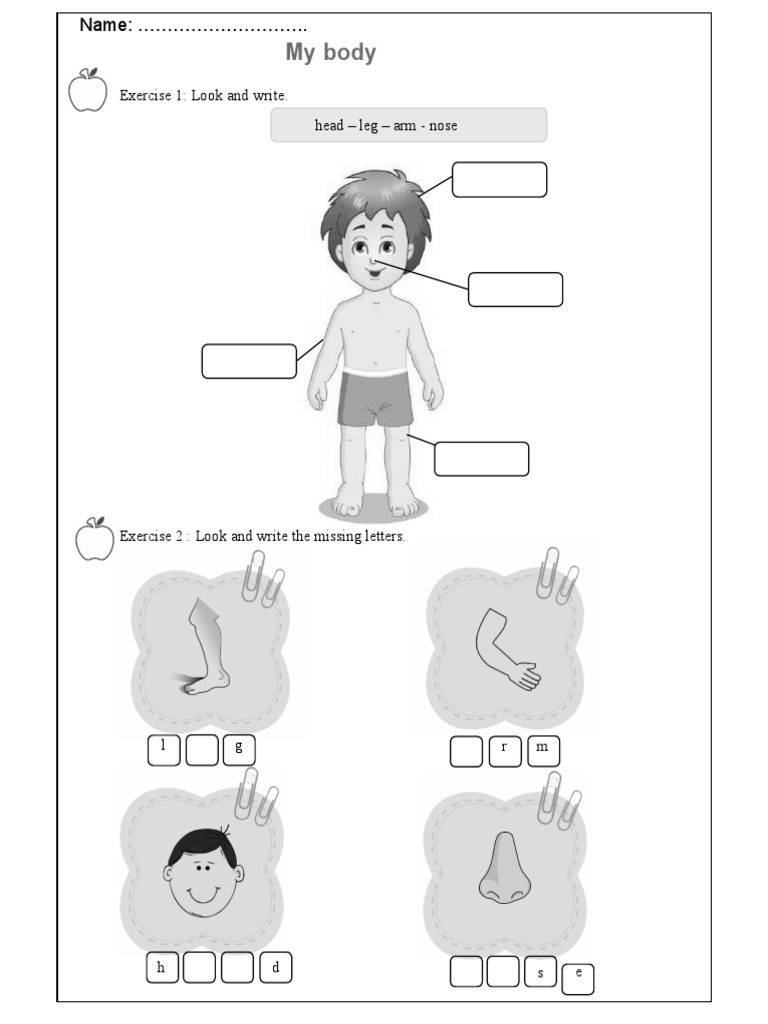 My Body - Grade 1 | PDF