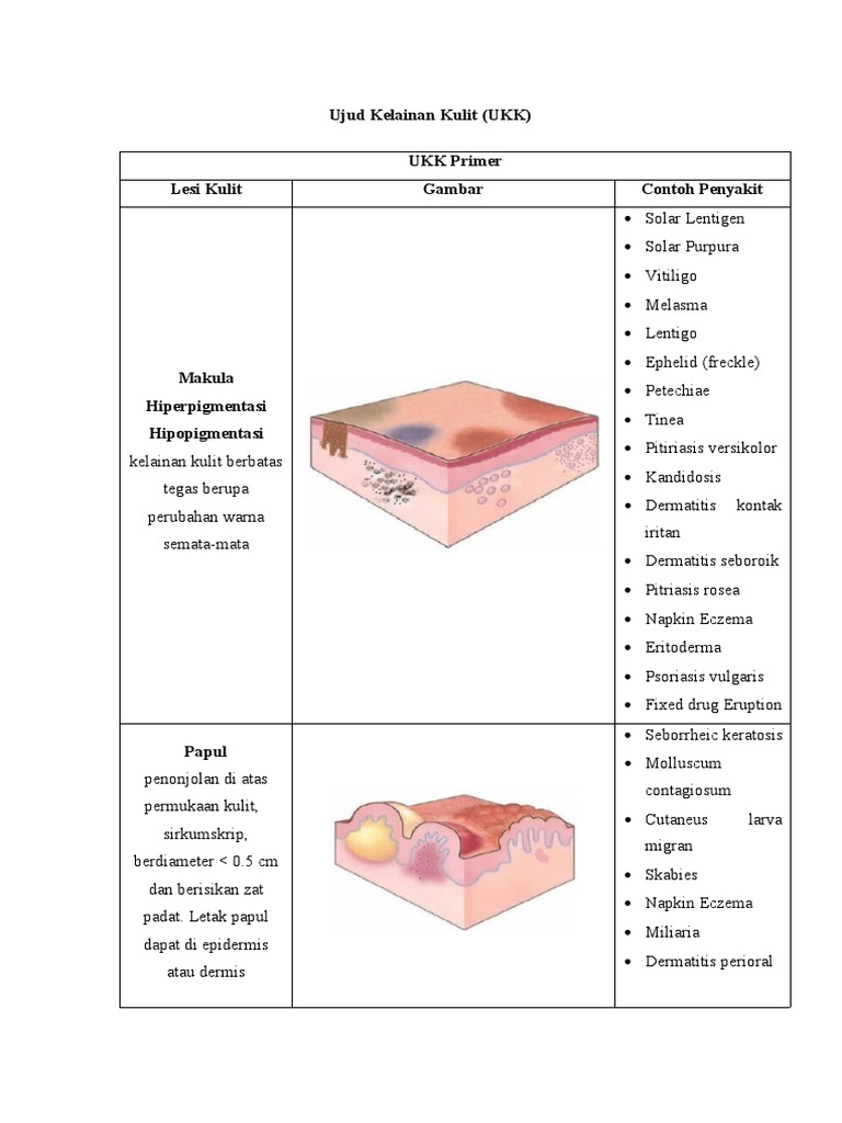 Jenis Kelainan Kulit dan Contohnya | PDF