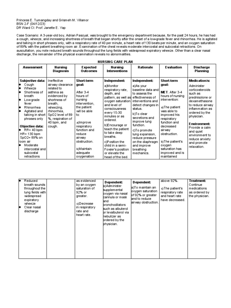 NCP DR Ward | PDF | Breathing | Respiratory Tract