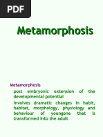 Insect Head Types: Hypognathous, Prognathous, Opisthognathous | PDF