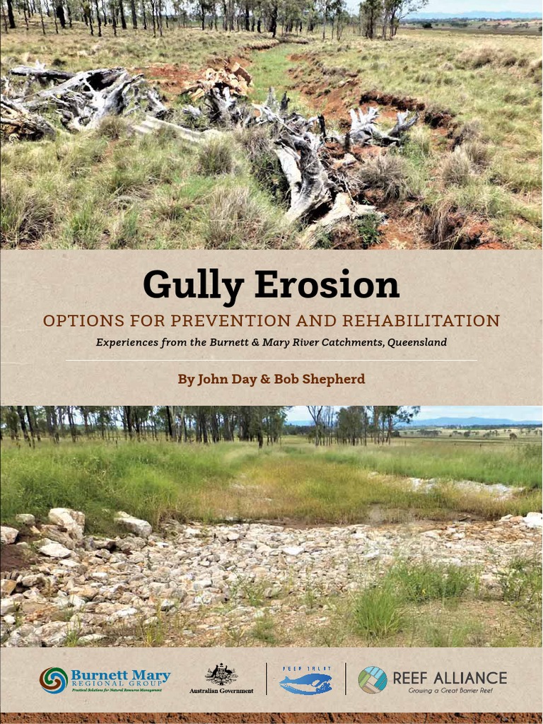 BMRG Gully Erosion Manual | PDF | Erosion | Surface Runoff