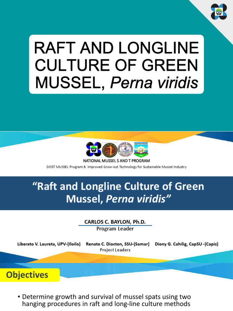 Raft and Longline Culture of Green Mussel | PDF | Student's T Test ...