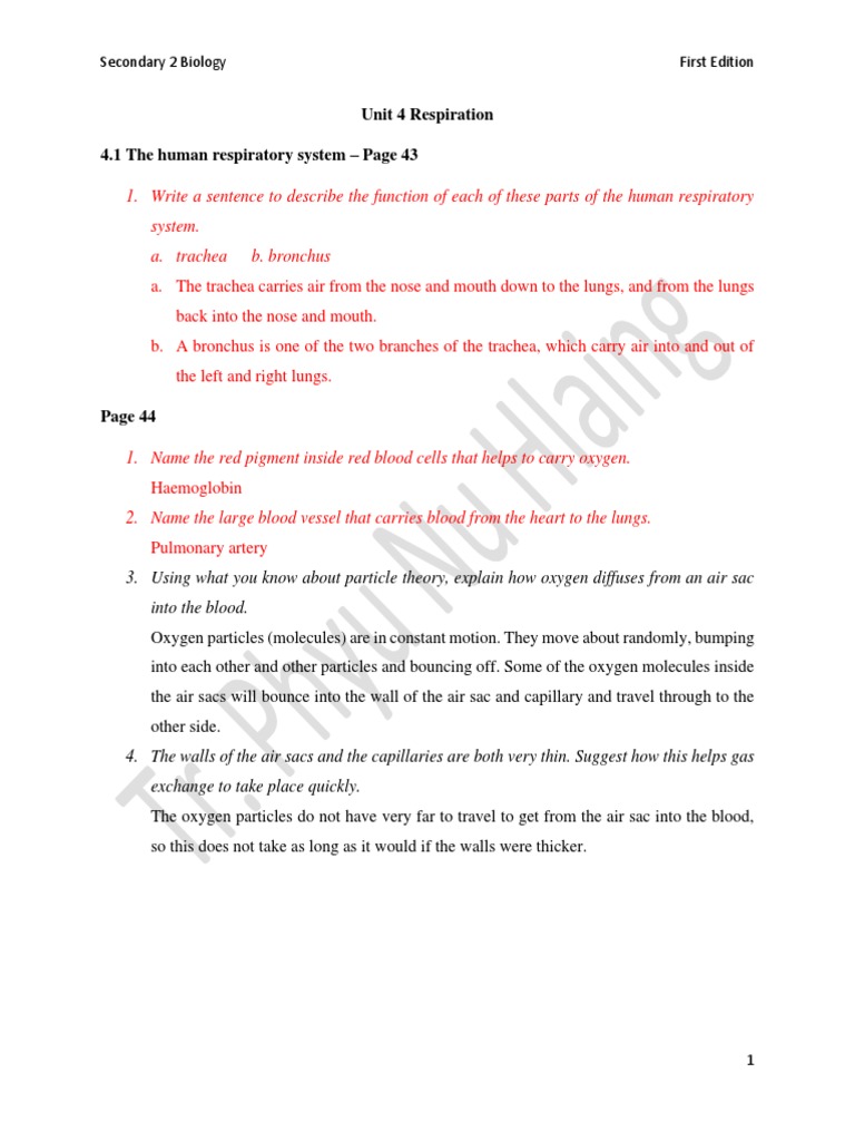 S 2 Unit 4 Course Book, Work Book Ques and Keys | Download Free PDF | Respiratory System | Lung