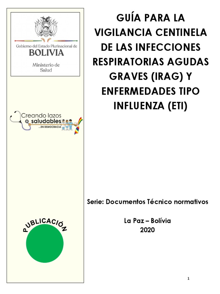 Guía para La Vigilancia Centinela de (Irag) y (Eti) Feb-2020 | PDF | Influenza | Hospital