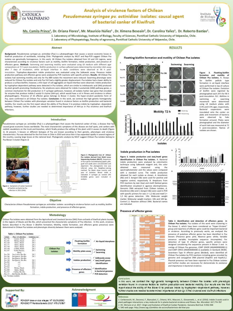 Ejemplo de Poster | PDF | Bacteria | Gene