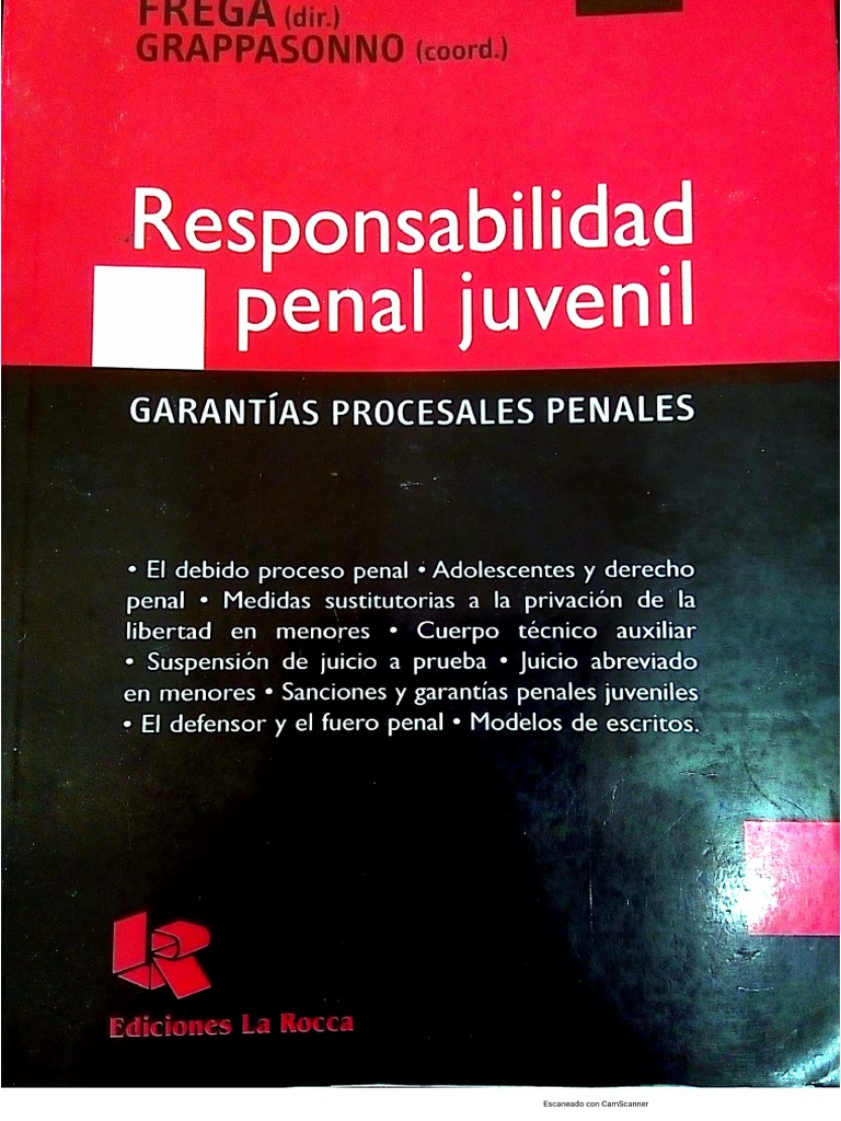 Luz Bruno RPJ | PDF