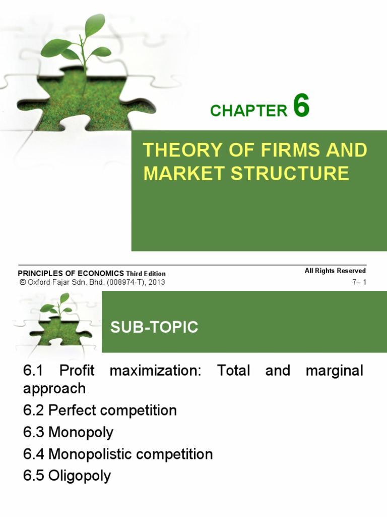 Chapter 6 Theory of Firm and Market Structure - PART 1 | Download Free PDF | Profit (Economics ...