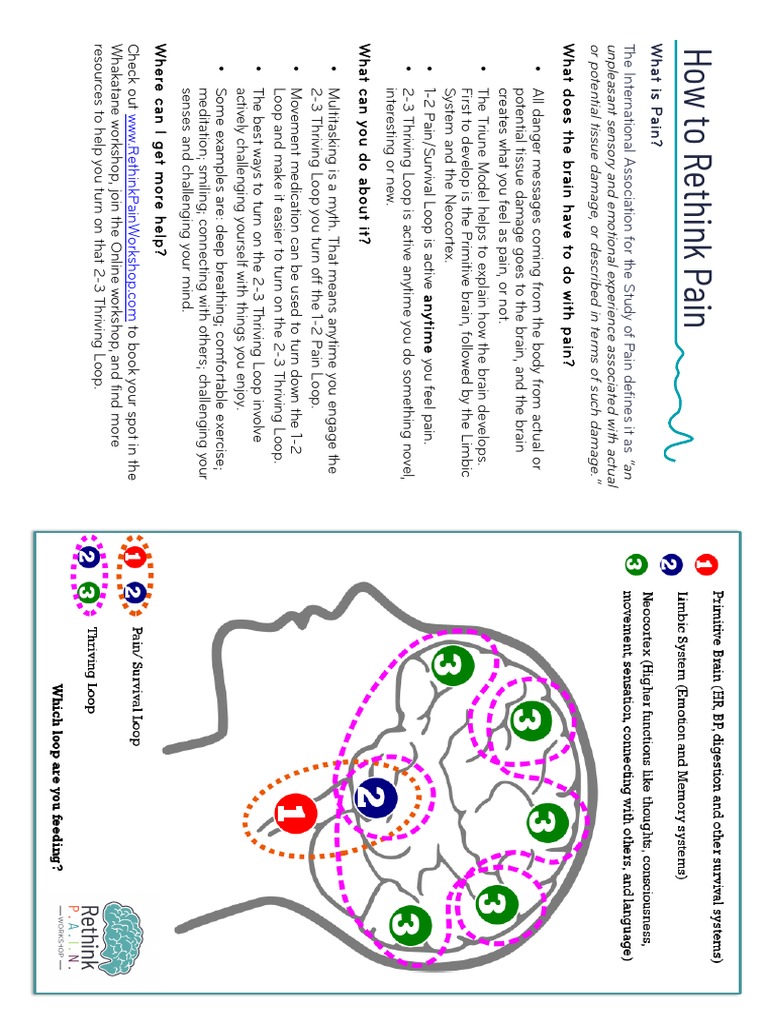 How To Rethink Pain | PDF | Pain | Brain