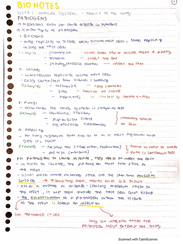 'O' Level Bio Notes | PDF