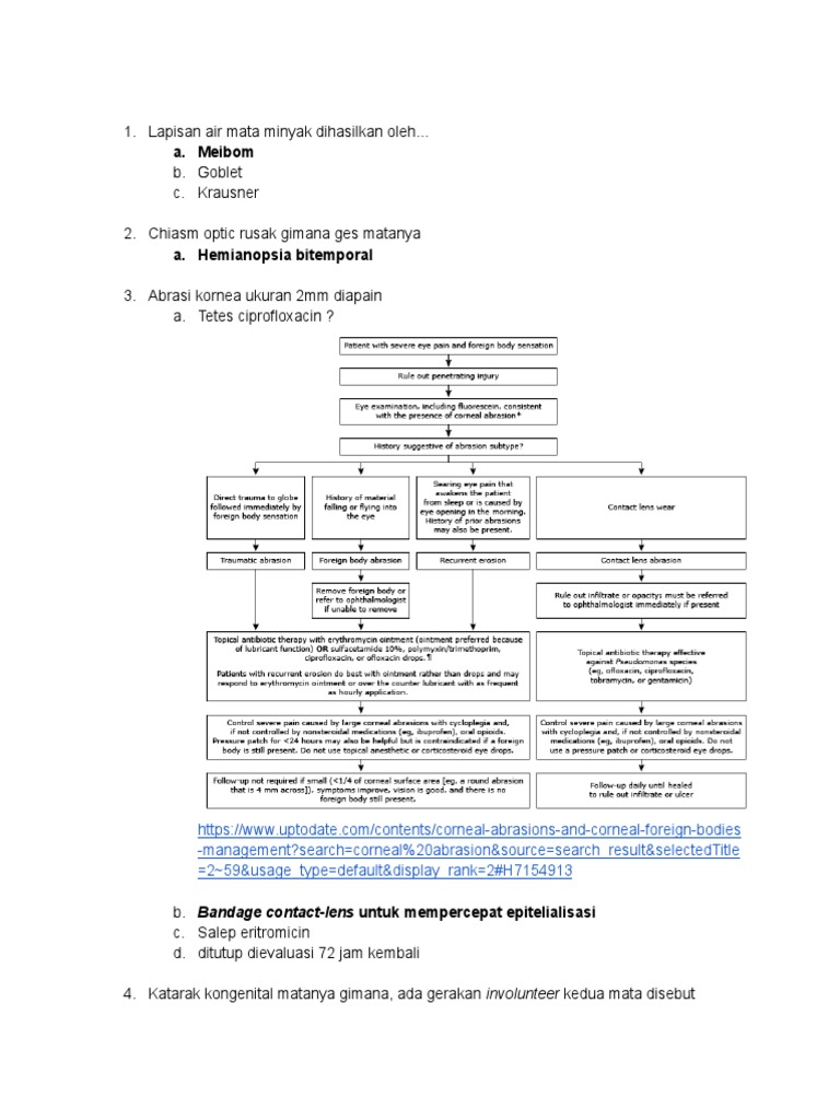 Rekap Soal CBT Mata 21102 | PDF