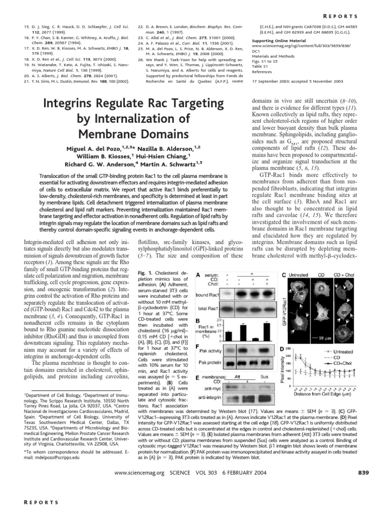 Integrins and Rac1 Membrane Targeting | PDF | Signal Transduction ...