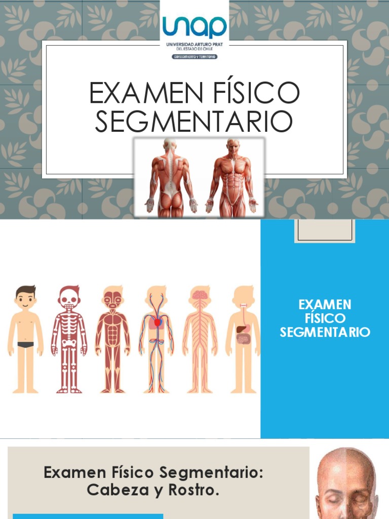Examen Físico Segmentario | PDF | Ojo | Ojo humano