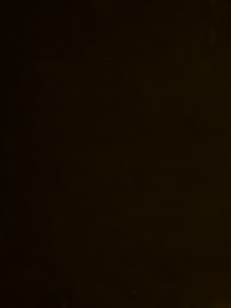 Our Cats and All About Them - Harrison Weir | PDF | Cats | Domesticated ...