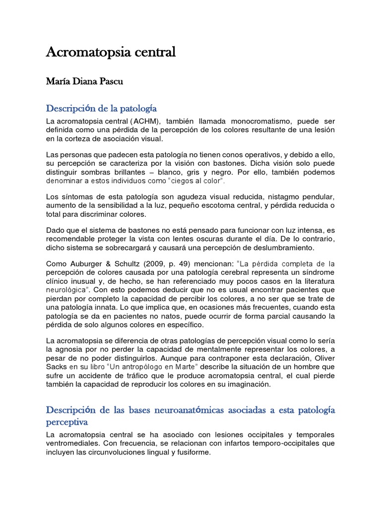 UC2 Maria Diana Pascu - Atención y Percepción | PDF | Percepción visual ...