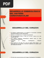 Desarrollo Embrionario del Corazón | PDF | Corazón | Ventrículo (corazón)