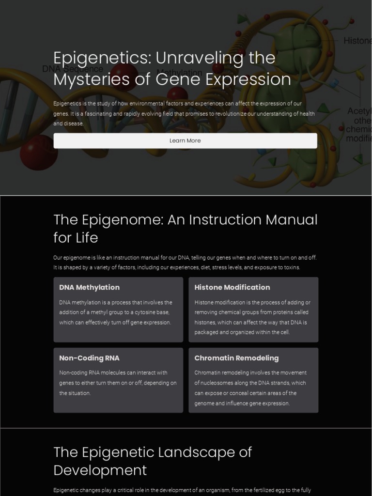 Epigenetics Unraveling The Mysteries of Gene Expression | PDF | Epigenetics | Ageing