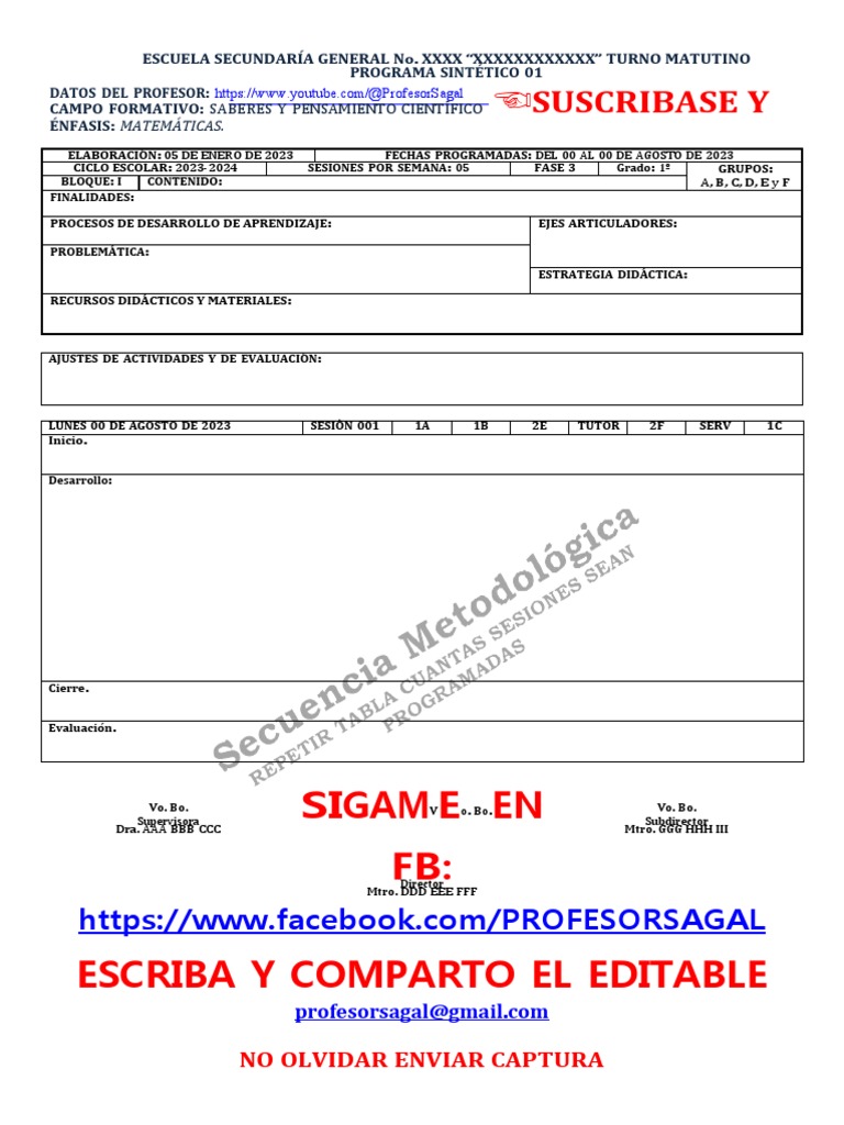 FORMATO DE PROGRAMA SINTETICO | PDF