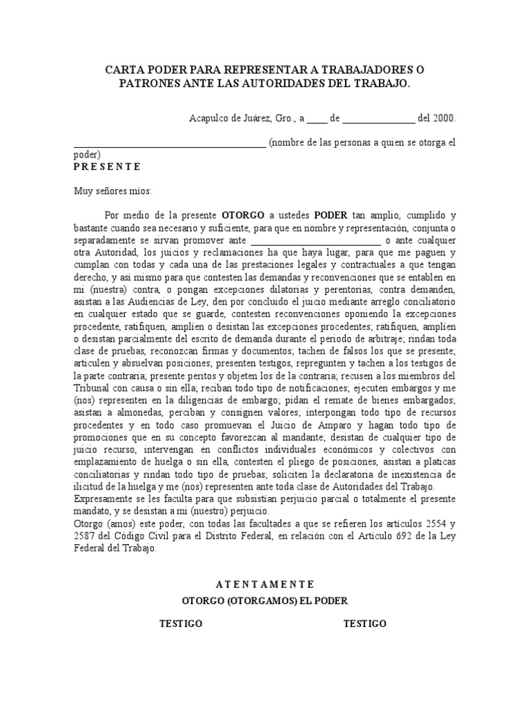 Modelo de Carta Poder para Representar A Trabajadores o Patrones Ante ...