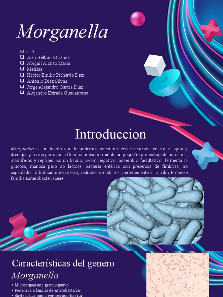 Morganella Morganii | PDF | Las bacterias | Medicina CLINICA