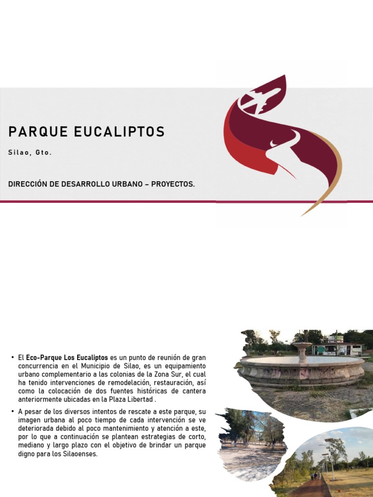 EUCALIPTOS | PDF