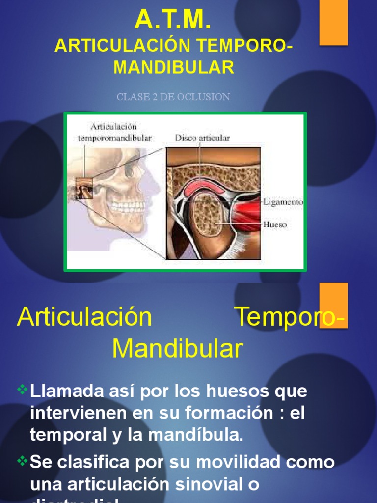 Articulación Temporo-Mandibular: Clase 2 de Oclusion | PDF ...