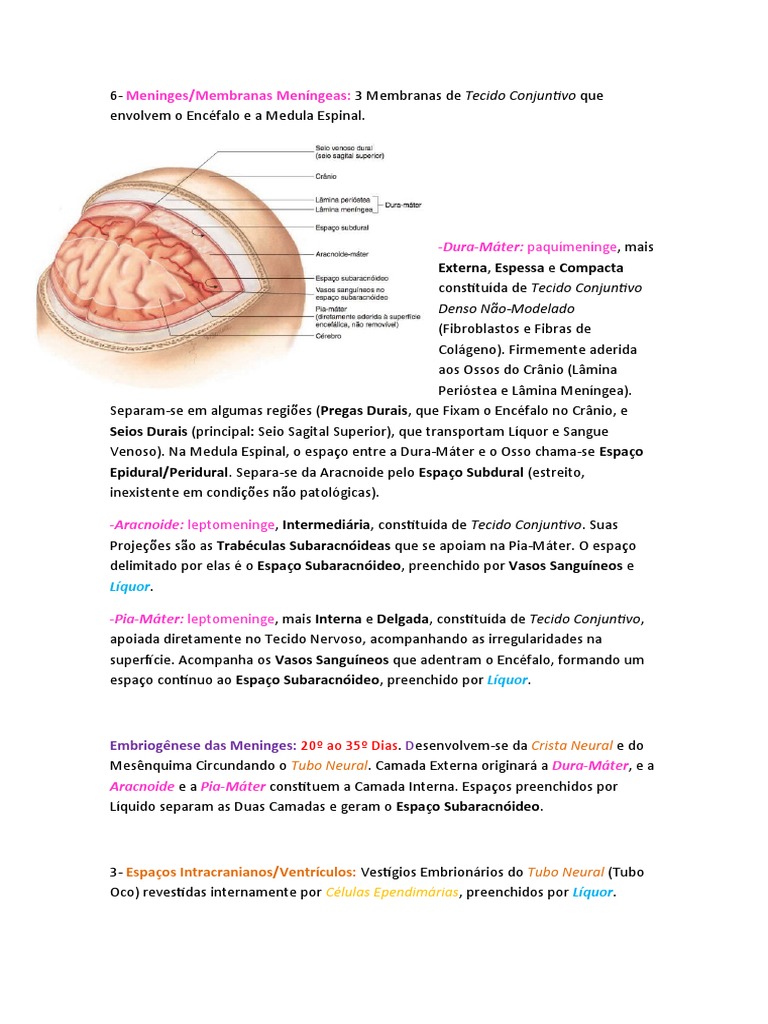 Cópia de APG 3 | PDF | Líquido cefalorraquidiano | Sistema nervoso