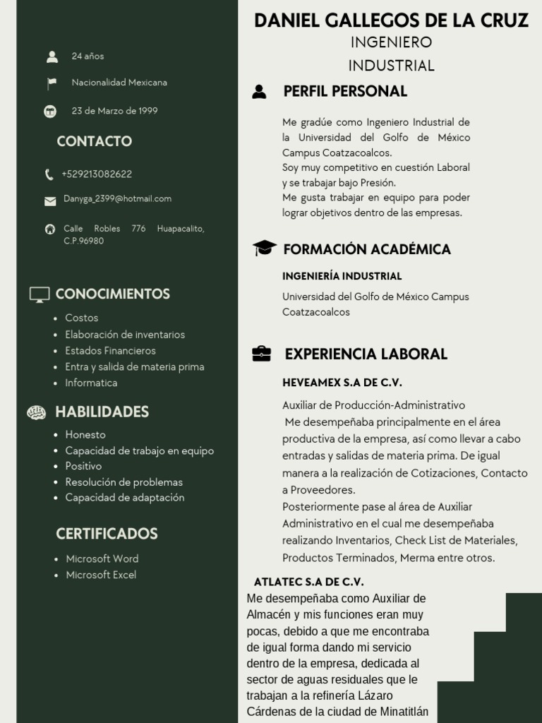 Curriculum Daniel Gallegos | PDF | Economias | Business