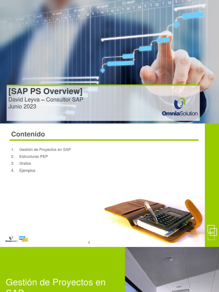 Overview SAP PS - IPESA | PDF | Gestión de proyectos | Presupuesto