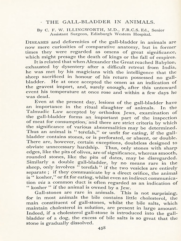 Gallbladder in Animals | PDF | Gallbladder | Exocrine System