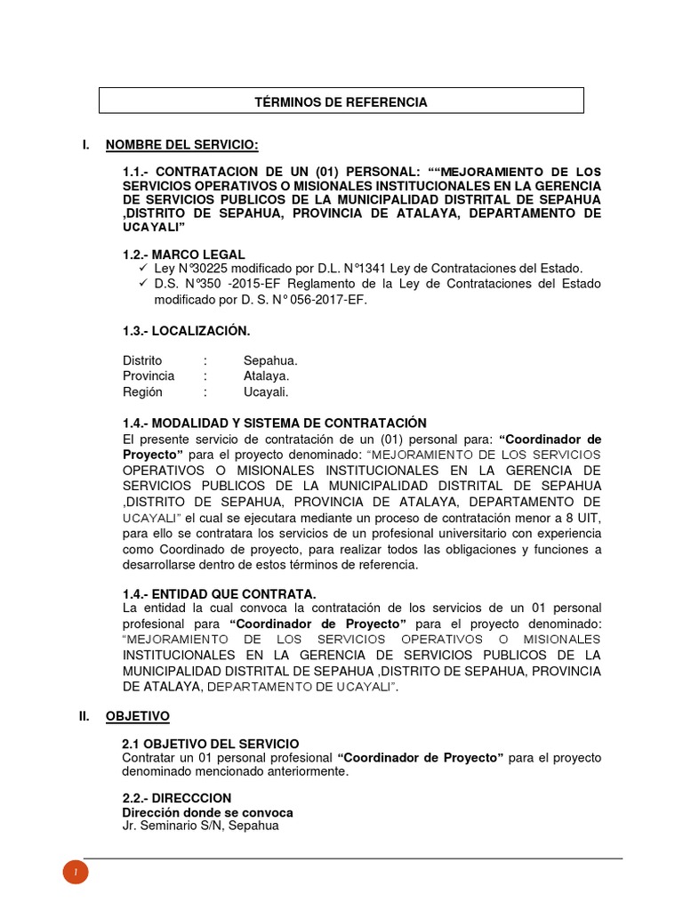 TDR Un Profesional Coordinador de Proyecto | PDF | Informática