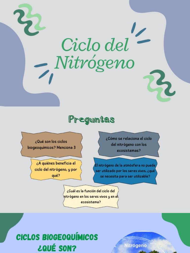 Ciclo Del Nitrógeno | PDF | Nitrógeno | Ciencia medioambiental