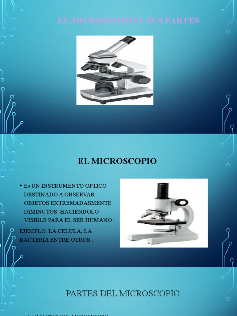 El Miscroscopio | PDF | Microscopio | Ojo