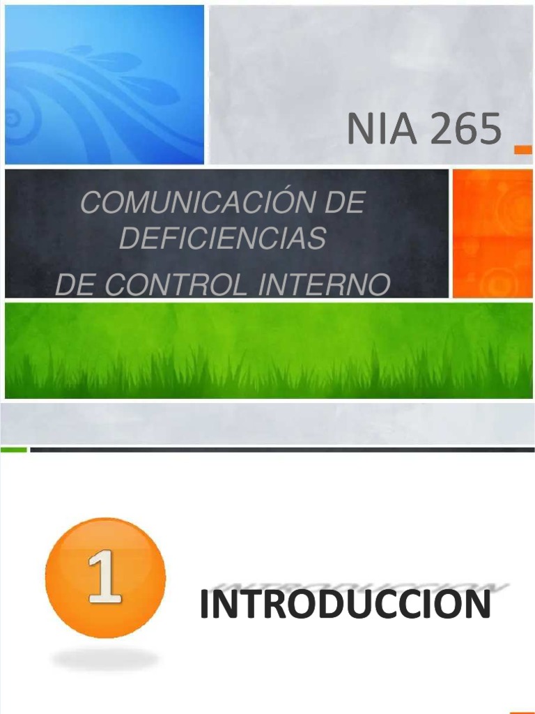 Diapositivas NIA 265 | PDF | Auditoría | Contralor