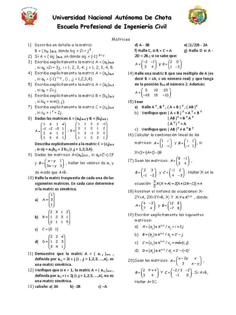 1 - Ejercicios de Matrices | PDF | Matriz (Matemáticas) | Objetos matemáticos