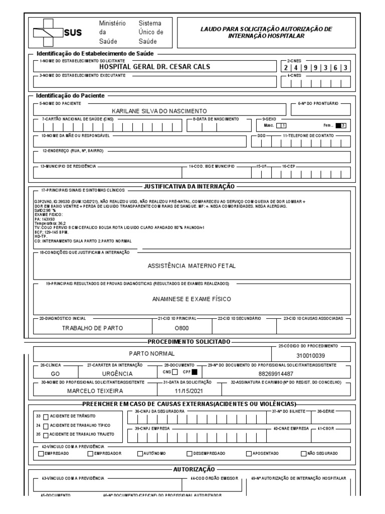 Aih - Peg - Internamento Clinico | PDF | Sistema de saúde | Ciências da ...