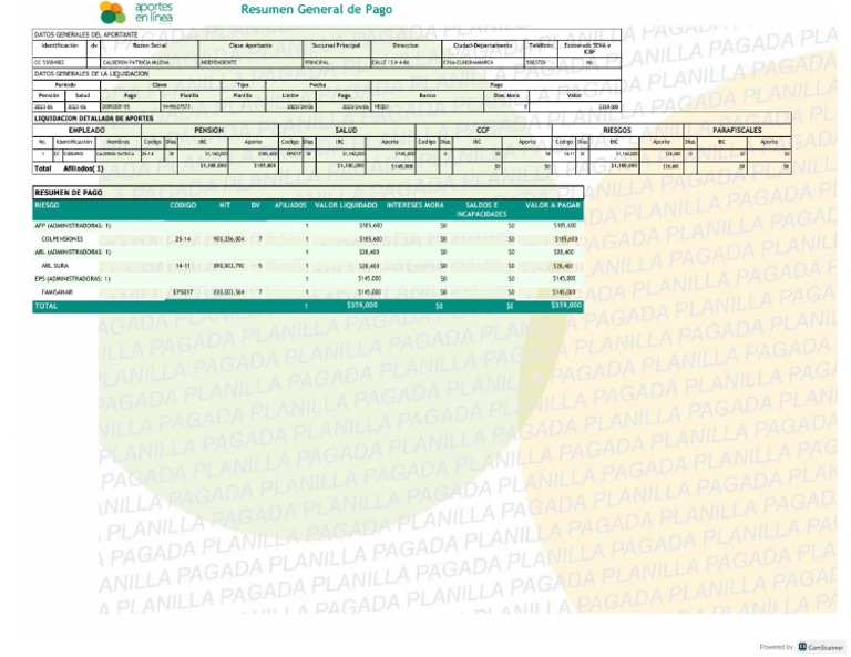 Planilla Junio | PDF