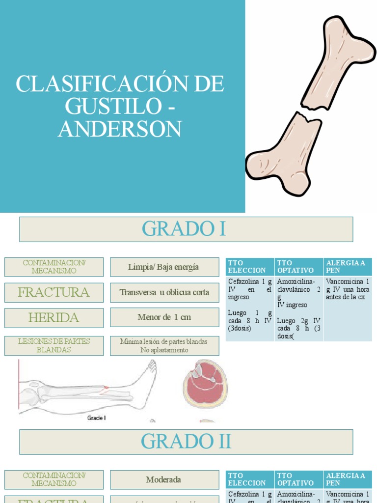 Clasificación de Gustilo - Anderson | PDF | Tratamientos médicos ...