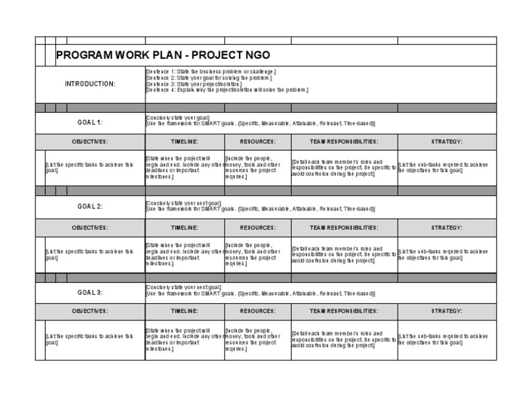 Example Workplan For NGO With SMART | PDF | Goal | Cognition