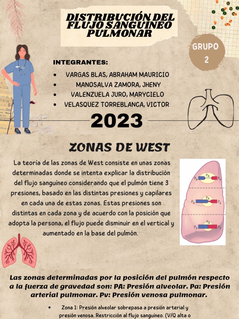 Distribución Del Flujo Sanguíneo Pulmonar: Integrantes | PDF | Sistema ...