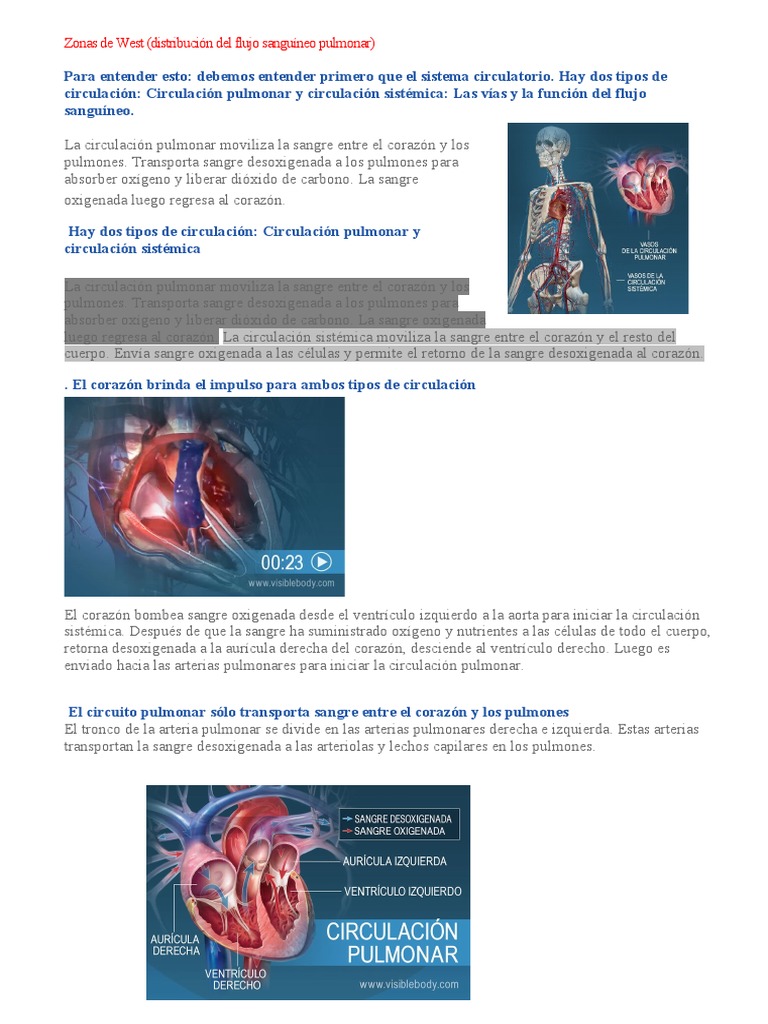 Zonas de West y circulación pulmonar | PDF | Sistema circulatorio | Corazón
